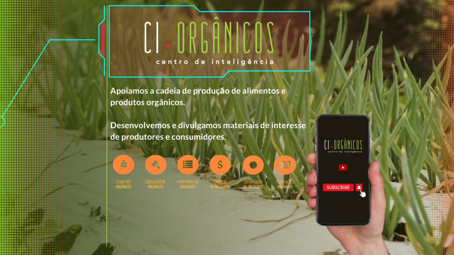 Boas Práticas Extrativismo Sustentável Orgânico - Caroá - Centro de ...